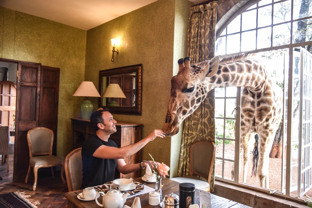 A Unforgettable stay at Giraffe Manor, Nairobi, Kenya - SilverSpoon London