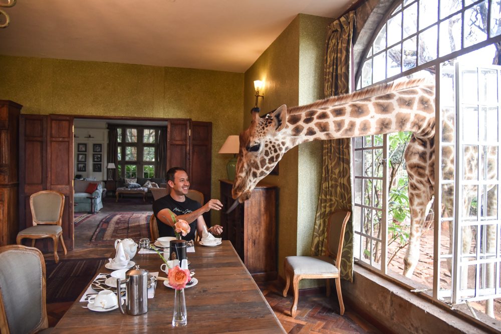 A Unforgettable stay at Giraffe Manor, Nairobi, Kenya - SilverSpoon London